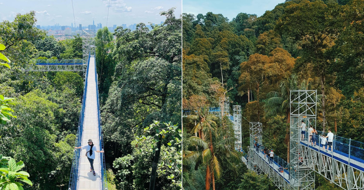 FRIM's Forest Skywalk In KL With Beautiful Panoramic Views Of The City ...