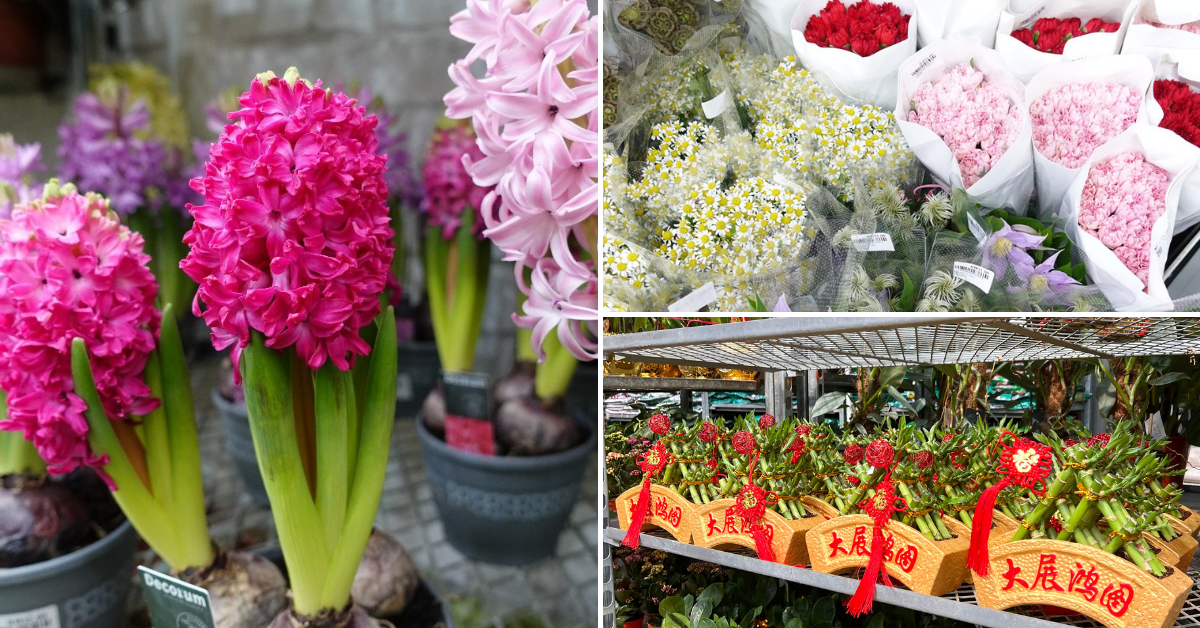 This Wholesale Florist In KL Is The Place To Go For Affordable Flowers ...